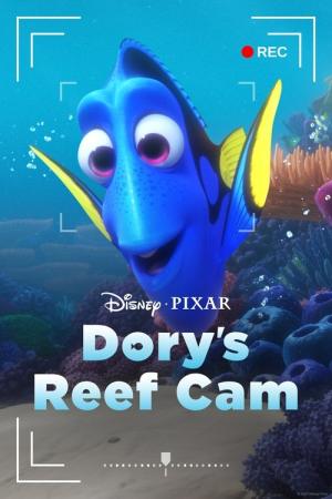 Dory's Reef Cam - MovieBoxPro
