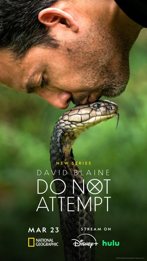 David Blaine: Do Not Attempt - MovieBoxPro